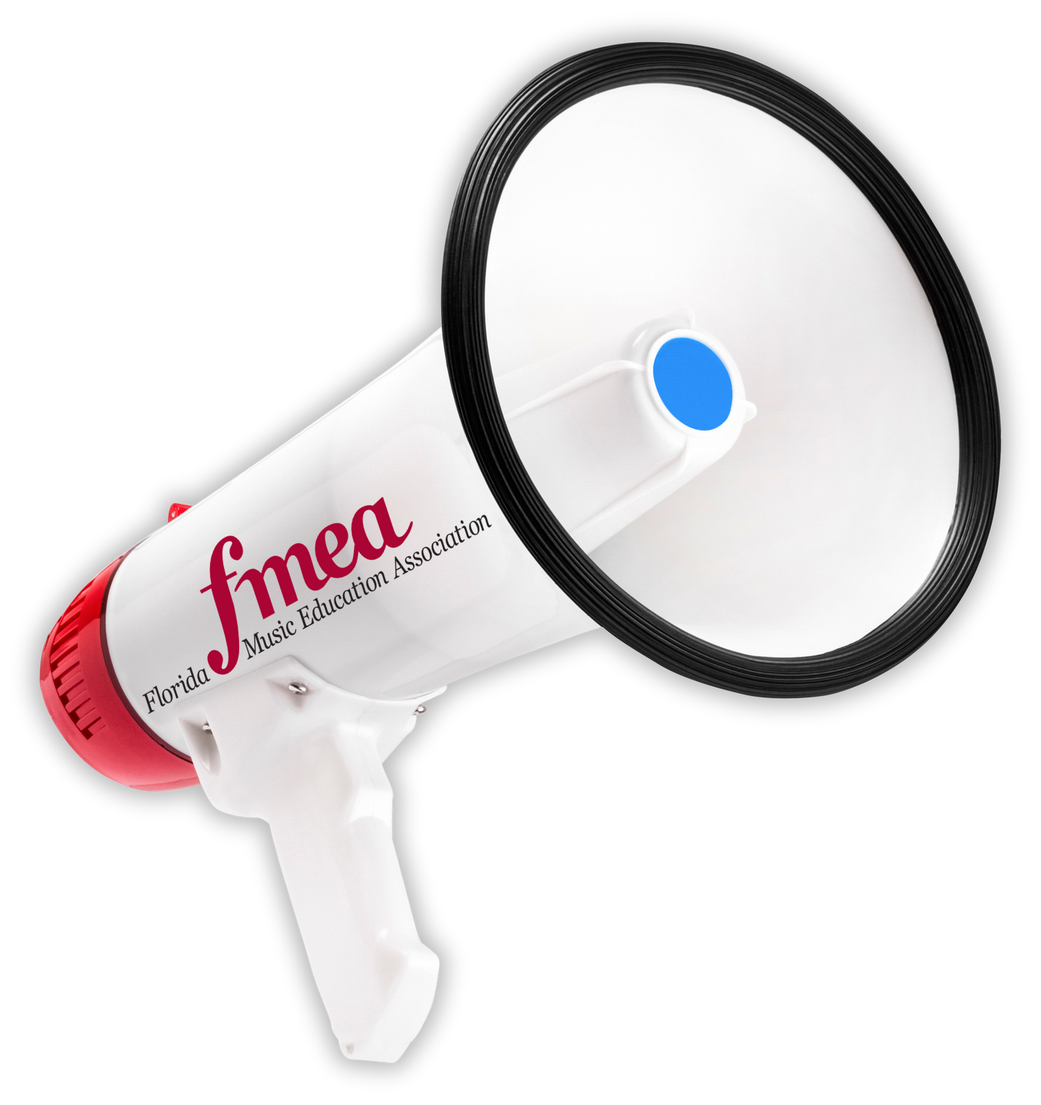 FMEA Amplify